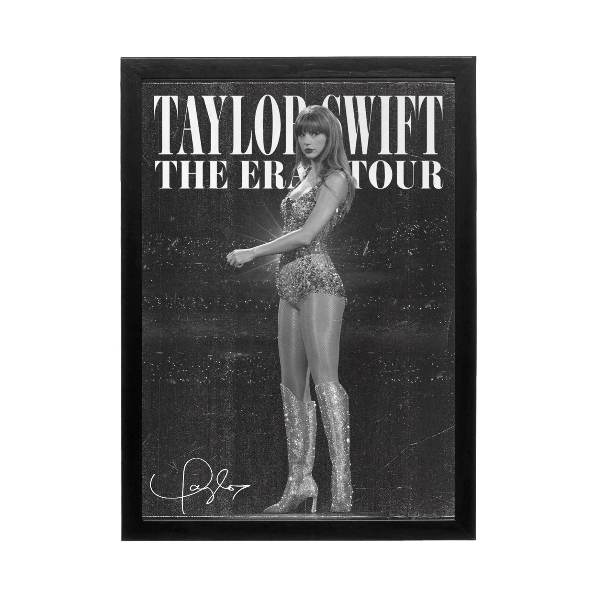 Taylor Swift 'The Eras Tour' Frame| Spark Store